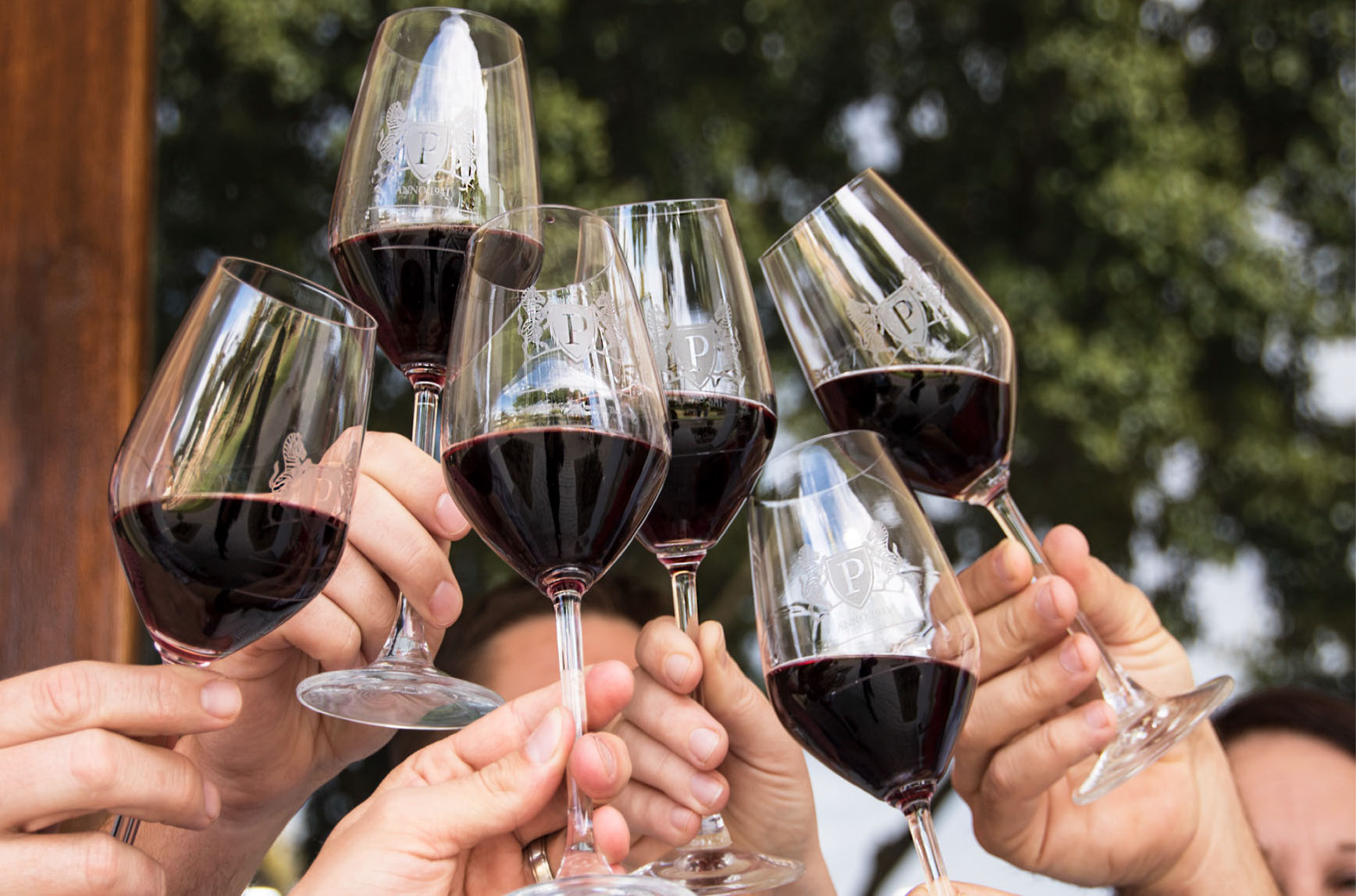 Our Story - Perdeberg Wines